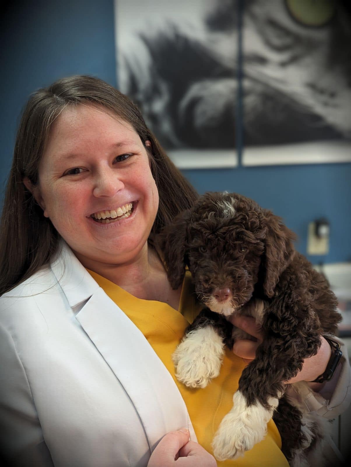 Hospital Tour - Jackson Square Animal Clinic